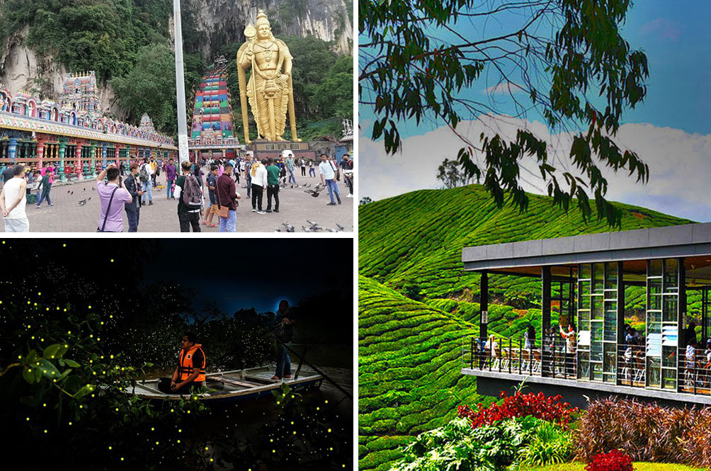 2D1N – Cameron Highland & Batu Caves & Fireflies Tours - Kuala Lumpur Tour